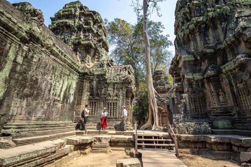 Siem Reap: Angkor Sunrise Private Tour - World Heritage Site - The Jungle’s Embrace at Ta Prohm