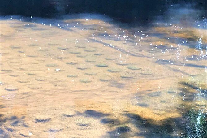 Siem Reap Angkor Sunrise sunset Kulen 5 Days Private Tour - Day 2: Mountain Serenity and Ancient Monasteries