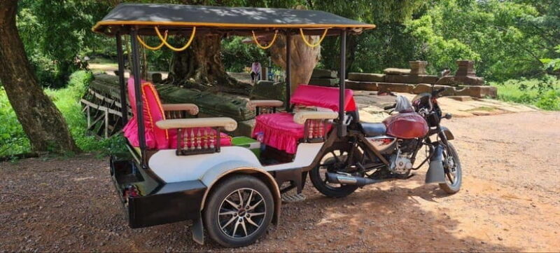 Siem Reap: Angkor Temples Guided Tuk Tuk Tour - Practical Details and What to Expect