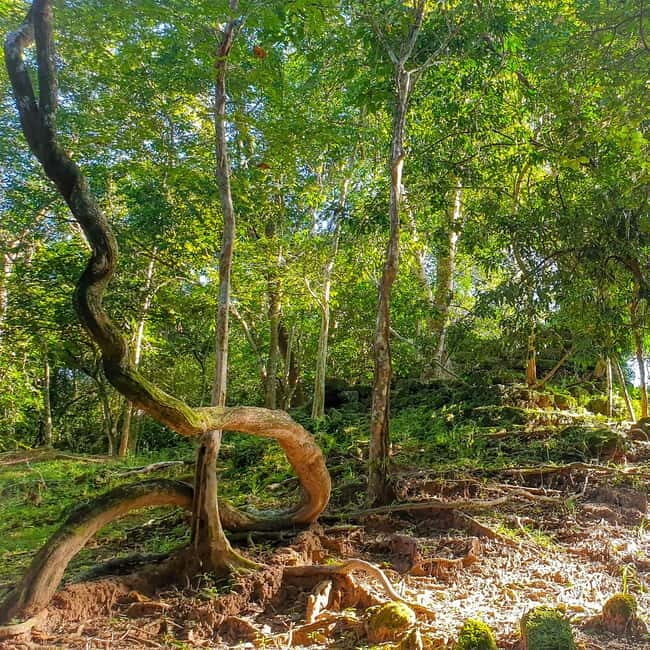 Siem Reap: Angkor Temples Off the beaten track Photo Trip - What Is This Tour All About?