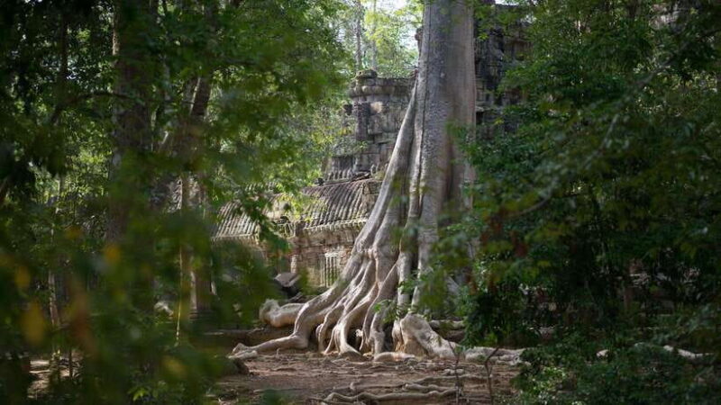 Siem Reap: Angkor Temples Off-Track Bicycle Tour - An Unconventional Way to Experience Angkor