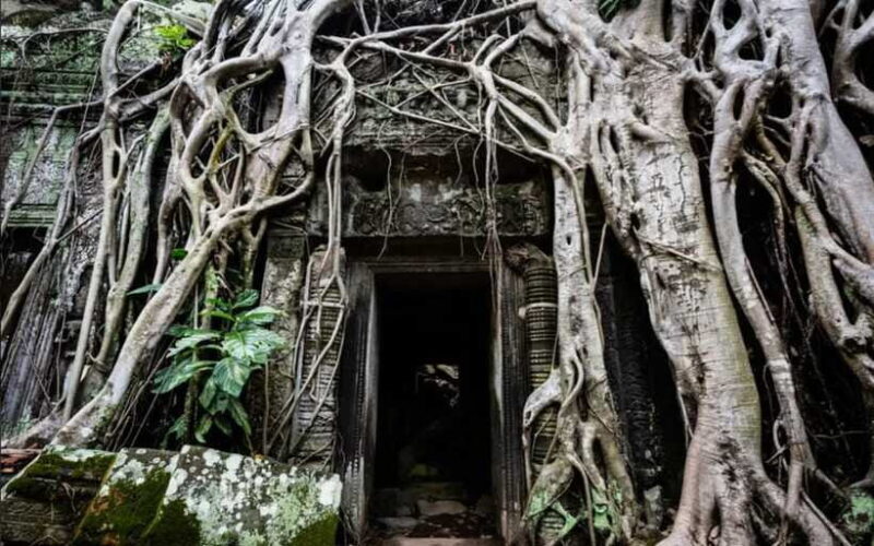 Siem Reap: Angkor Temples Tour - Shared Tours tours guide - Final Thoughts: Is This Tour Right for You?