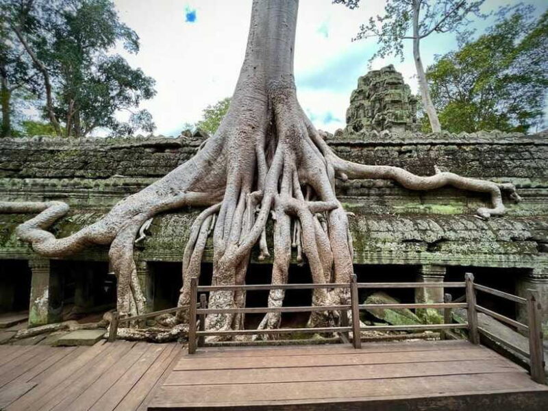 Siem Reap: Angkor Wat Admission Ticket - The Sum Up