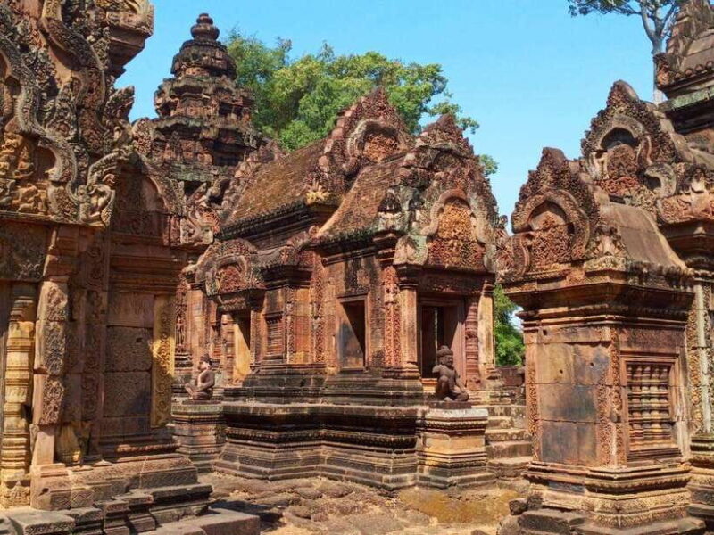 Siem Reap: Angkor Wat, Angkor Thom, and Banteay Srei Tour - Visiting Ta Prohm: The Jungle Temple