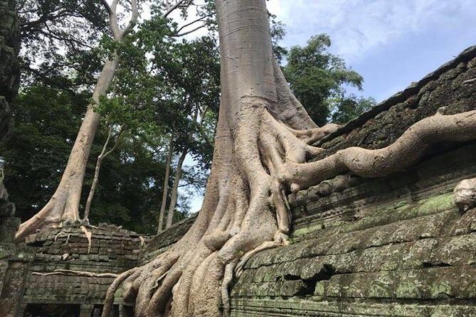 Siem Reap Angkor Wat Guide Tour Small Group - Who Should Consider This Tour?