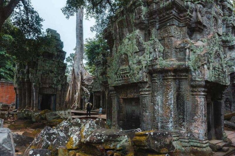 Siem Reap: Angkor Wat Small-Group Full Day Tour and Sunset - What Reviewers Say