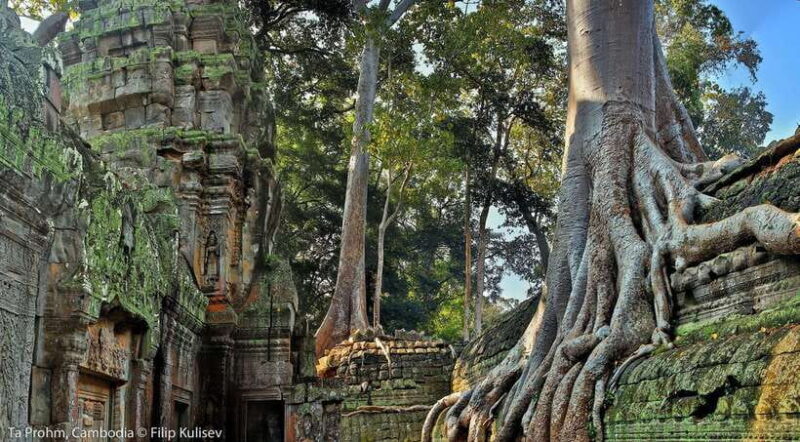 Siem Reap: Angkor Wat: Small-Group Sunrise or Sunset Tour - Key Points