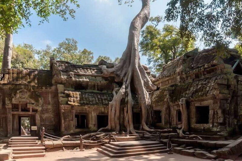 Siem Reap: Angkor Wat Sunrise and Full-Day Sightseeing Tour - Who Is This Tour Best For?
