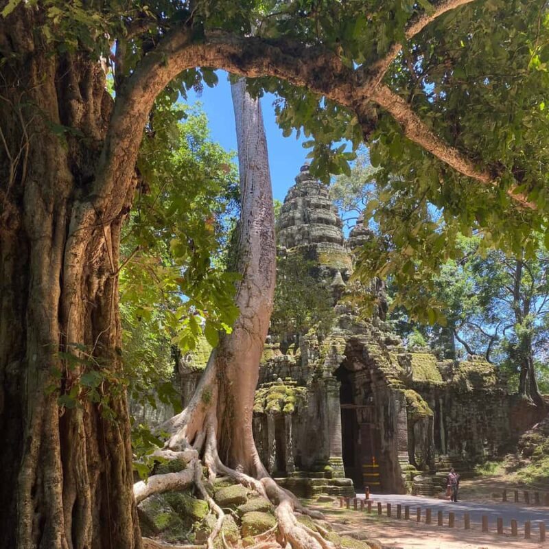 Siem Reap: Angkor Wat Sunrise Jeep Tour off the Beaten Path - The Experience: A Deep Dive into the Tour