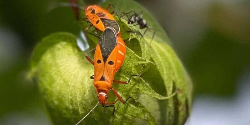 Siem Reap: Angkor Wat Sunrise Private Tour & Photos - Key Points