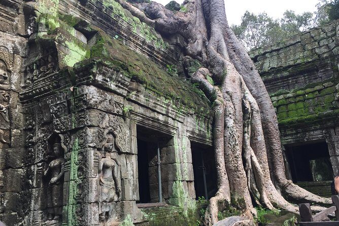 Siem Reap Angkor Wat Sunrise Small Tour By Join In - Authenticity and Guide Quality
