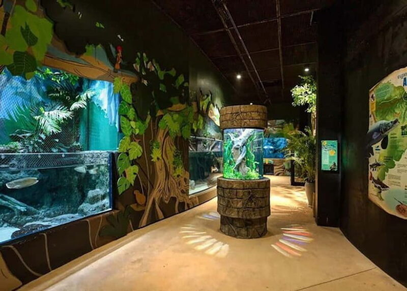 Siem Reap: Angkor Wildlife & Aquarium Entrance Ticket - Key Points