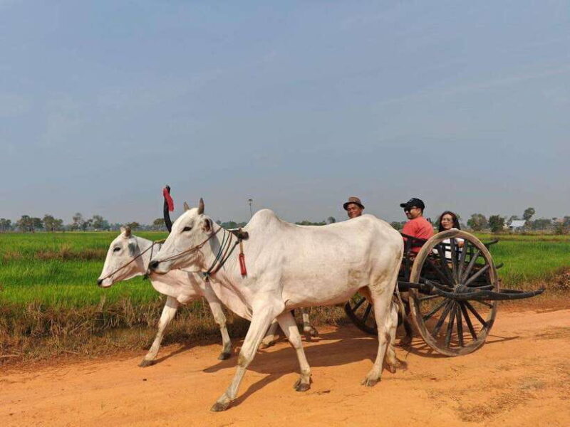 Siem Reap: Authentic Village Tour with Ox Cart Ride - Key Points