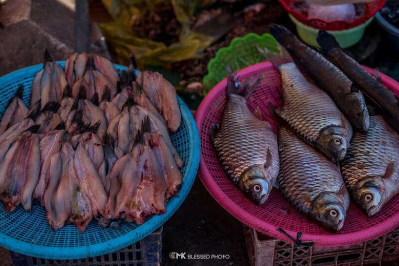 Siem Reap: Authentic Village Tour with Ox Cart Ride - Who Will Love This Tour?
