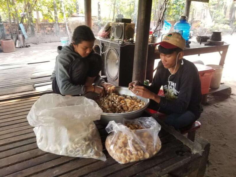 Siem Reap: Authentic Village Tour with Ox Cart Ride - FAQ