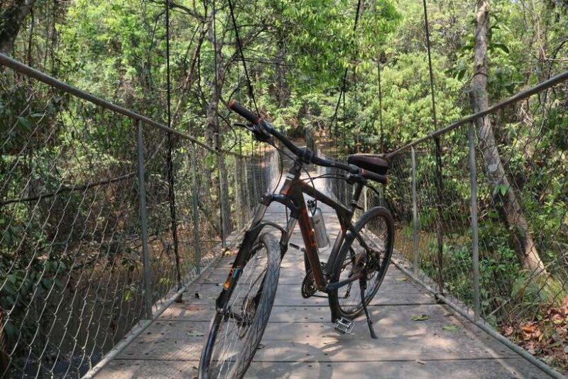 Siem Reap: Bike Rental - Key Points