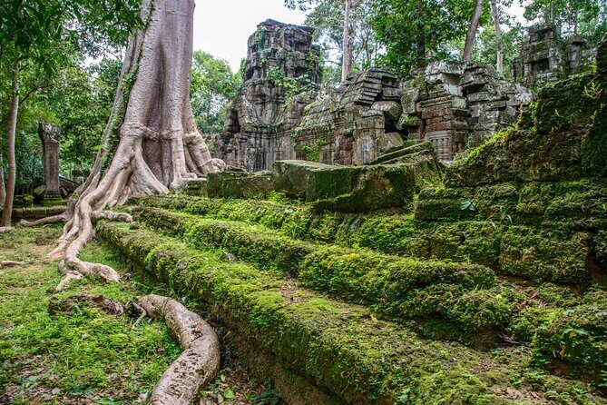 Siem Reap Bike the Angkor Temples Guided Tour with Lunch - Who Will Love (and Who Might Not)