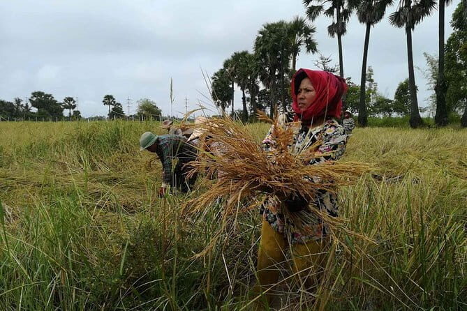 Siem Reap City Life and Siem Reap Countryside Life - Discovering Siem Reap’s City and Countryside: A Practical, Authentic Tour