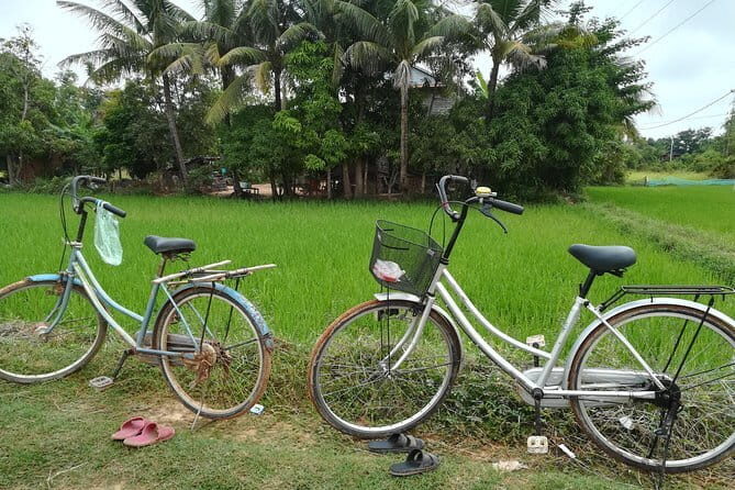 Siem Reap City Life and Siem Reap Countryside Life - An Honest Look at the Tour Experience