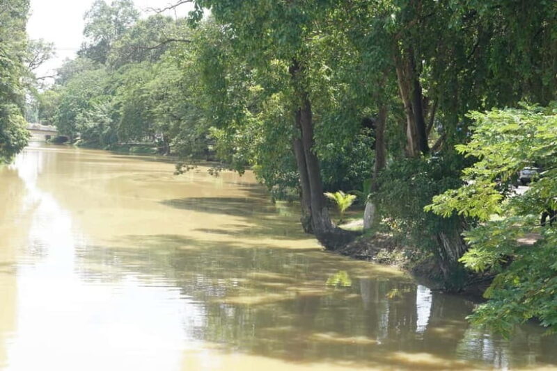 Siem Reap: City Walking Tour and Art Gallery Visit - Exploring Siem Reap: A Deeper Dive