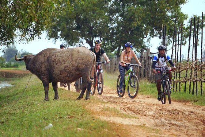 Siem Reap Countryside Discovery By Bicycle - The Sum Up: Is This Tour Right for You?