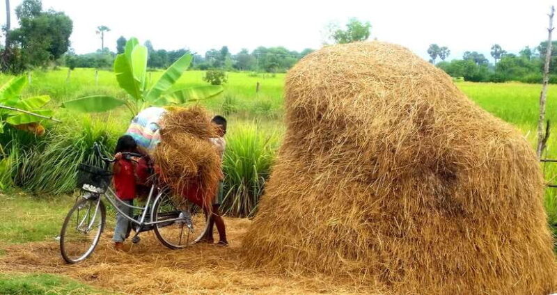 Siem Reap: Countryside Jeep Tour 3 hours - Frequently Asked Questions