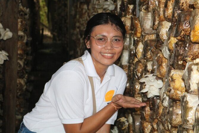 Siem Reap Countryside Private Guided Tour - The Sum Up