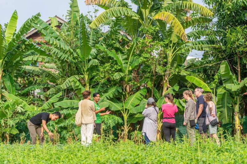 Siem Reap: Countryside Sunset Bike Ride - The Sum Up