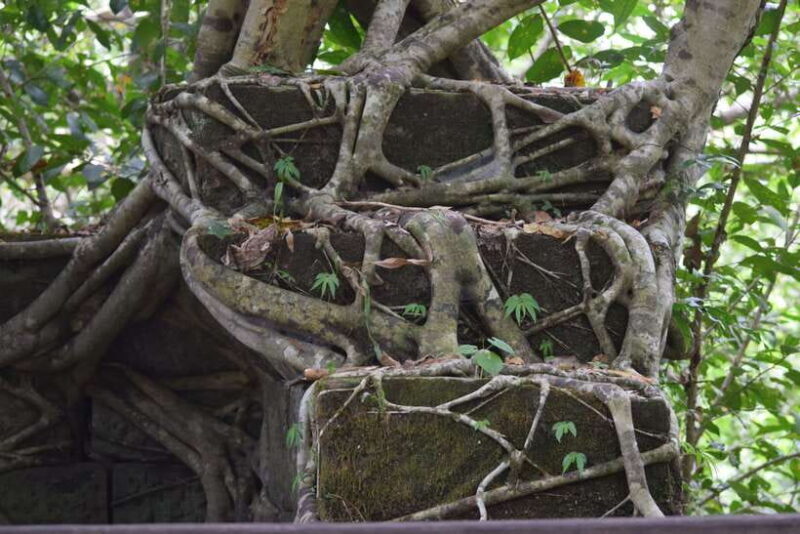 Siem Reap: Day Trip to Koh Ker and Beng Mealea Temples - Final Thoughts