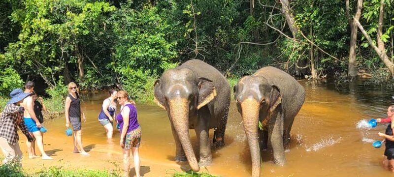 Siem Reap: Elephant Sanctuary Guided Tour - Atmosphere and Overall Experience
