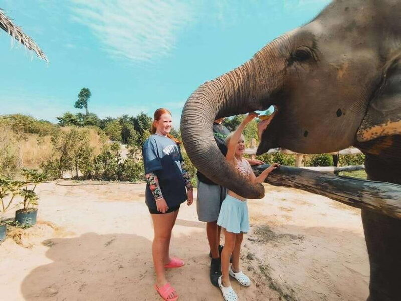 Siem Reap: Elephant Sanctuary Included Hotel Pickup Drop-off - An In-Depth Look at the Siem Reap Elephant Sanctuary Tour