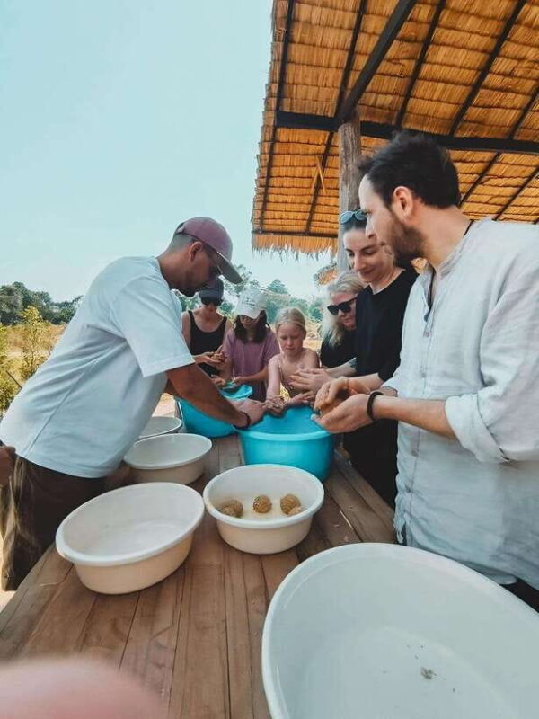 Siem Reap: Elephant Sanctuary Included Hotel Pickup Drop-off - The Sum Up