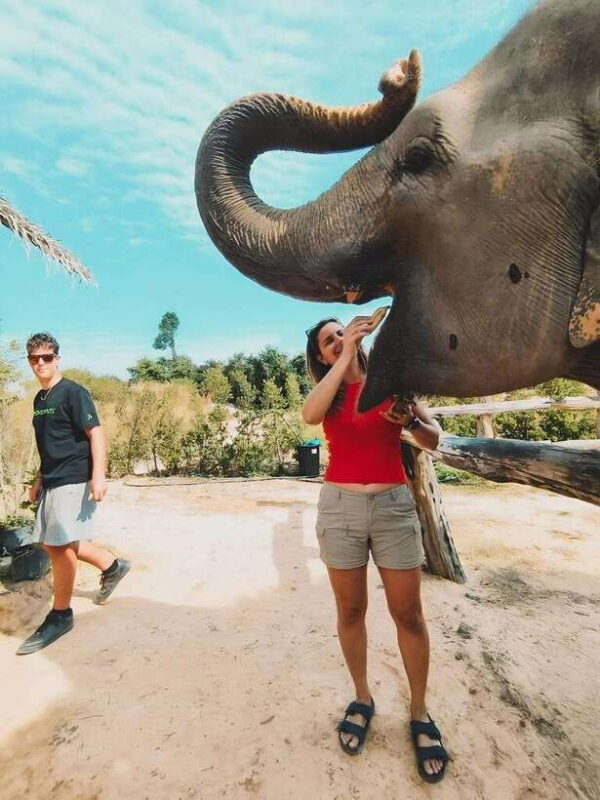 Siem Reap: Elephant Sanctuary Included Hotel Pickup Drop-off - FAQ