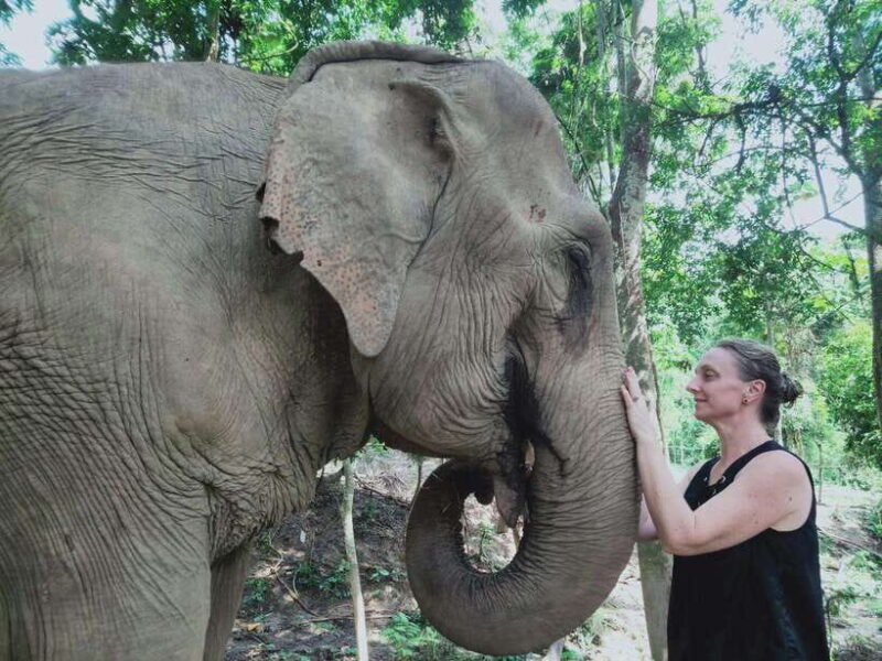 Siem Reap: Elephants & Apopo Rat Demining Private Trip - Authentic Visitor Perspectives