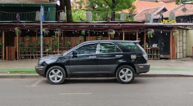 Siem Reap: Elephants & Apopo Rat Demining Private Trip - Practical Tips for Travelers