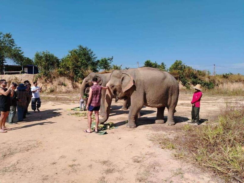 Siem Reap: Elephants & Apopo Rat Demining Private Trip - FAQs
