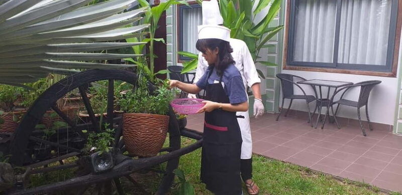 Siem Reap: Evening Market Tour and Cooking Class - The Itinerary: What to Expect During the Tour