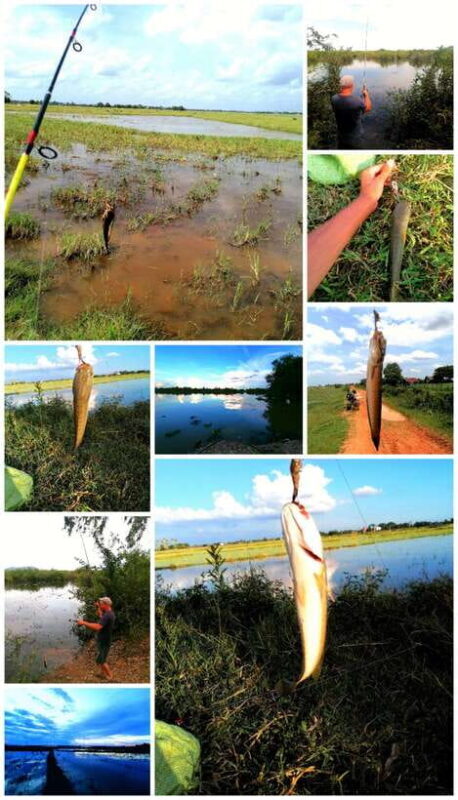 Siem Reap: Fishing in the rice fields, in the villages of Siem Reap - An In-Depth Look at the Siem Reap Fishing Tour