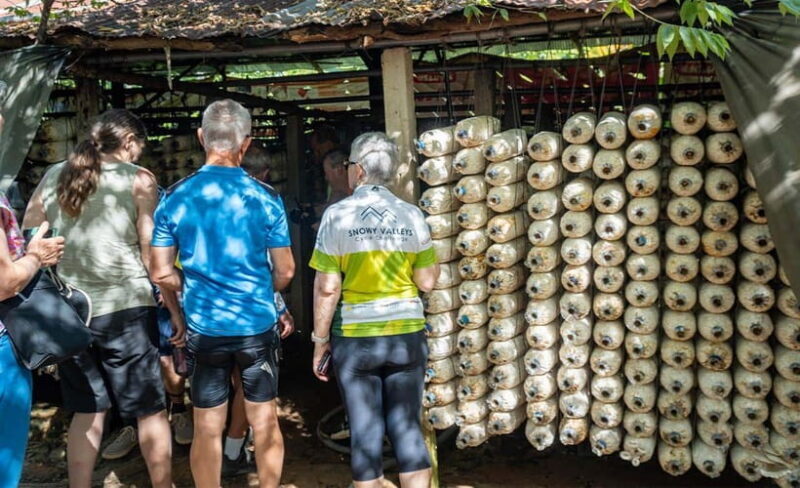 Siem Reap: Guided Countryside Bike Tour - The Guides and Group Experience