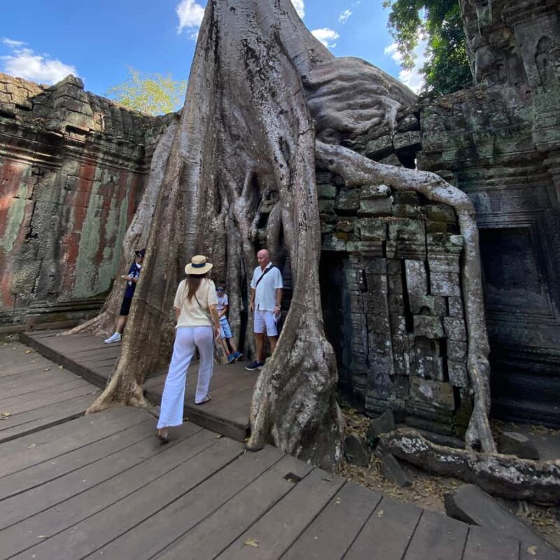 Siem Reap: Half-Day Angkor Wat & Jungle Ruin Crowd Avoidance - Real Traveler Insights and Comments