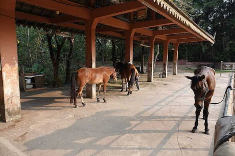Siem Reap Happy Horse Riding Free Pick-up & Drop-off - The Cost and Its Value