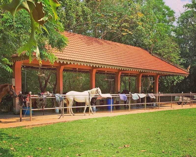 Siem Reap Happy Horse Riding Free Pick-up & Drop-off - Who Will Love This Tour?