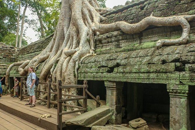 Siem Reap Highlight Angkor Wat Sunset Tour Small Group - What Travelers Say and Why It Matters