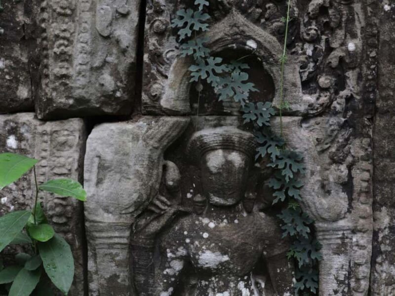 Siem Reap: Jungle Temples & Hidden Heritage Jeep Tour - A Picnic in Nature