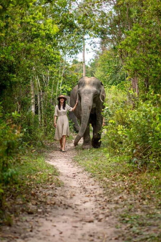 Siem Reap: Kulen Elephant Forest Guided Tour - Key Points