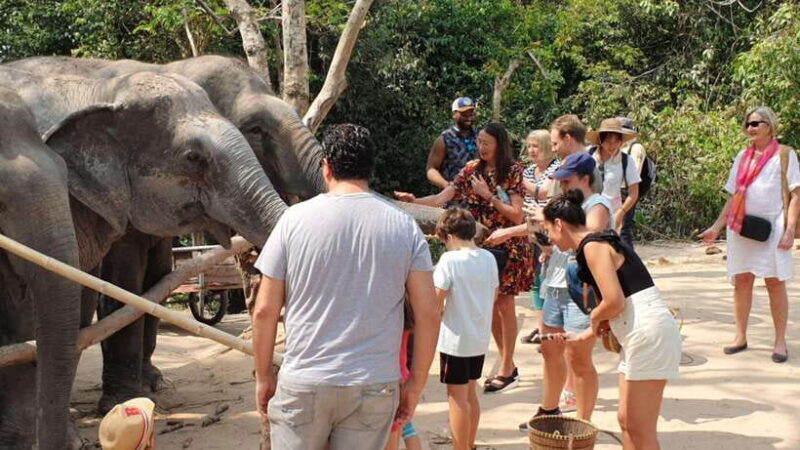 Siem Reap: Kulen Elephant Forest Guided Tour - The Real Traveler Experience