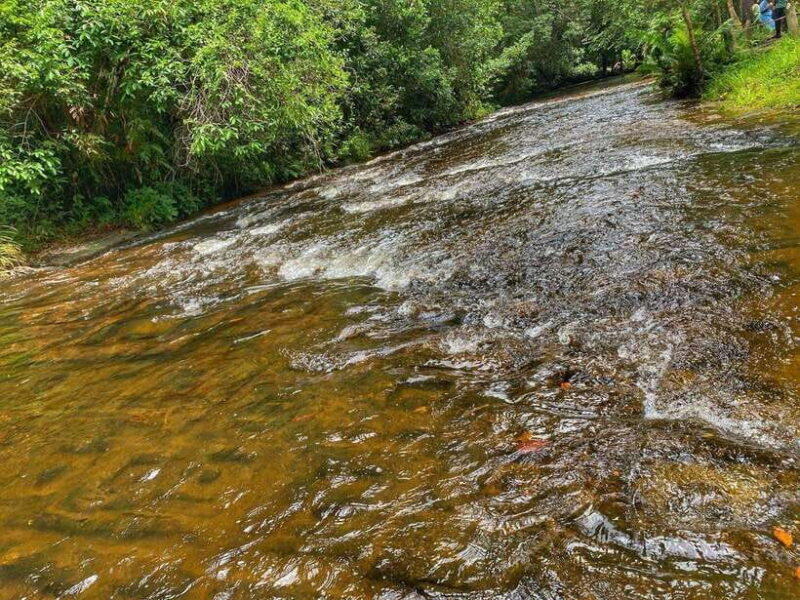 Siem Reap: Kulen Mountain, Beng Melea, and Kampong Phluk - In Closing