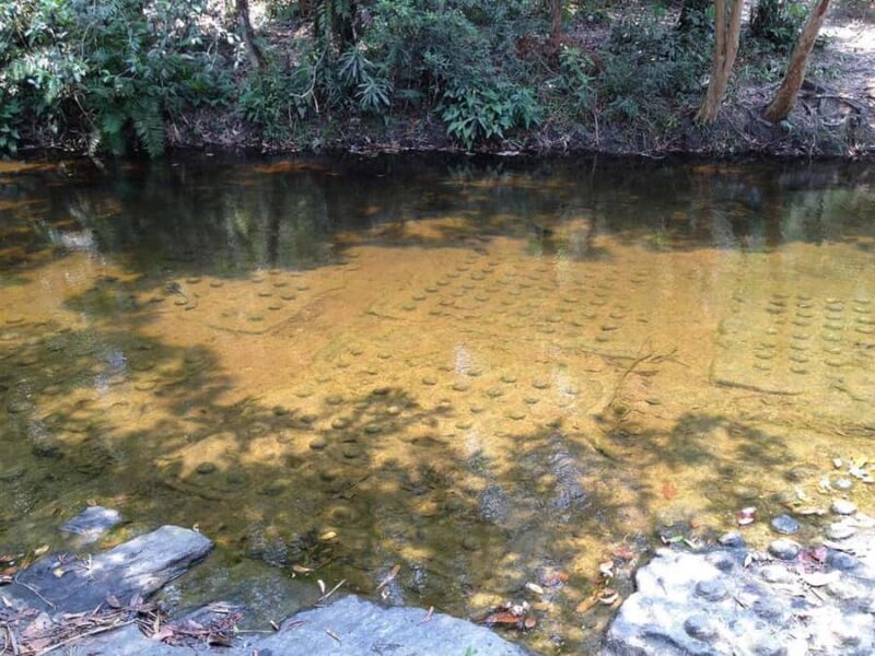 Siem Reap: Kulen Mountain Waterfall Small-group Tour - Practical Details and Tips for Travelers