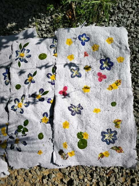 Siem Reap: Lotus Silk Farm - Guided Visit & 3 Craft Workshop - Key Points