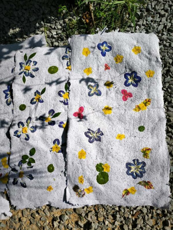 Siem Reap: Lotus Silk Farm - Tour, Lake & Artisan immersion - Key Points